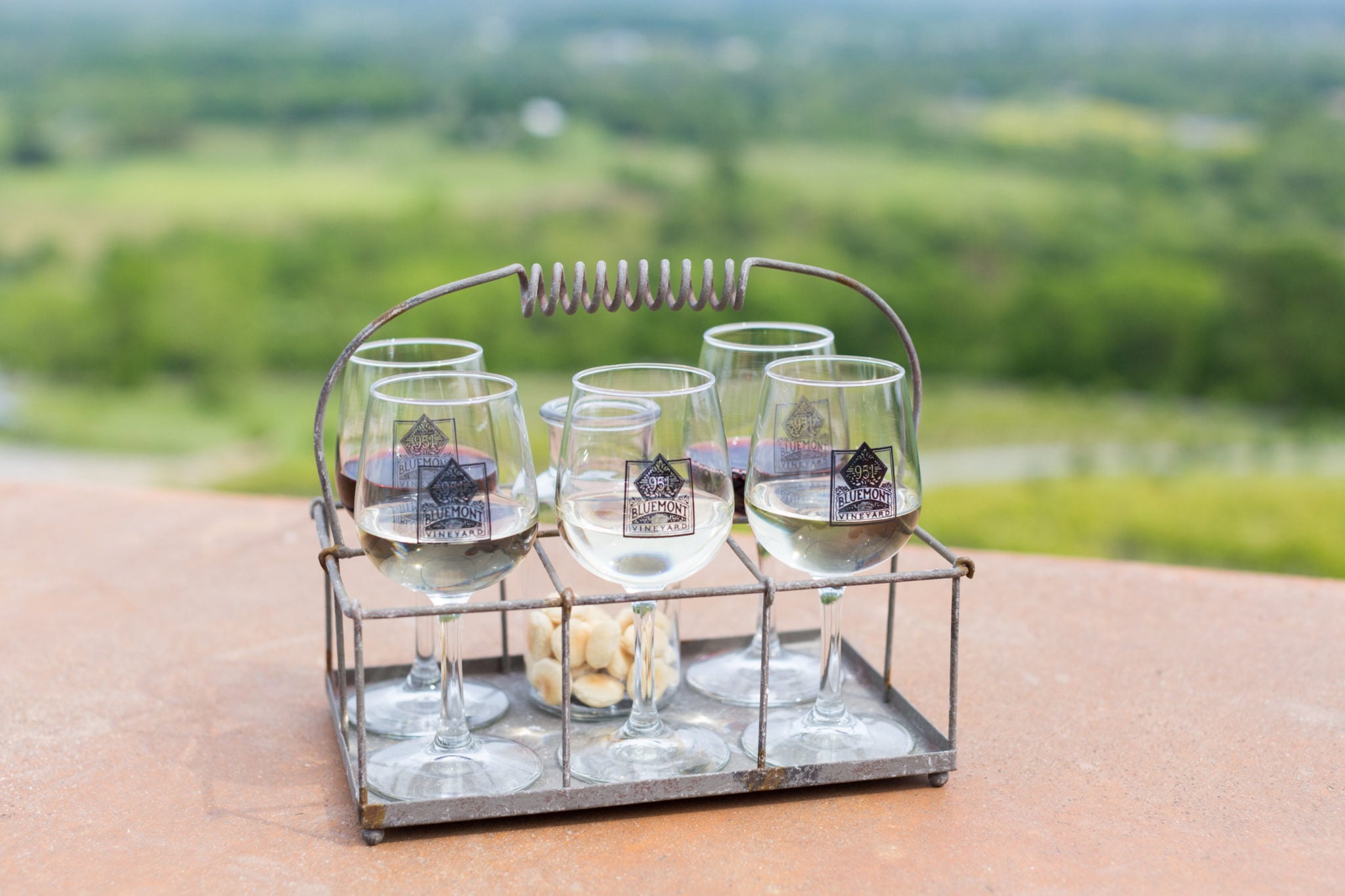 Drink Wine and Stomp Grapes at a Vineyard on This Day Trip an Easy ...