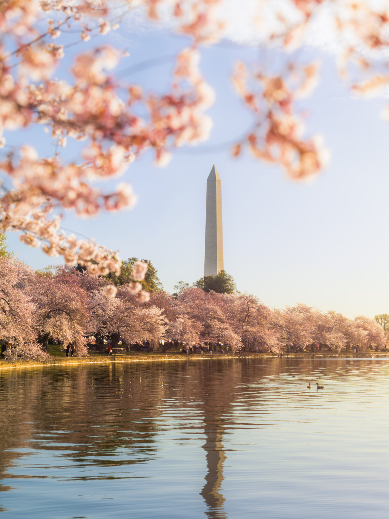 8 Ways to Celebrate Women’s History Month in the DC Area