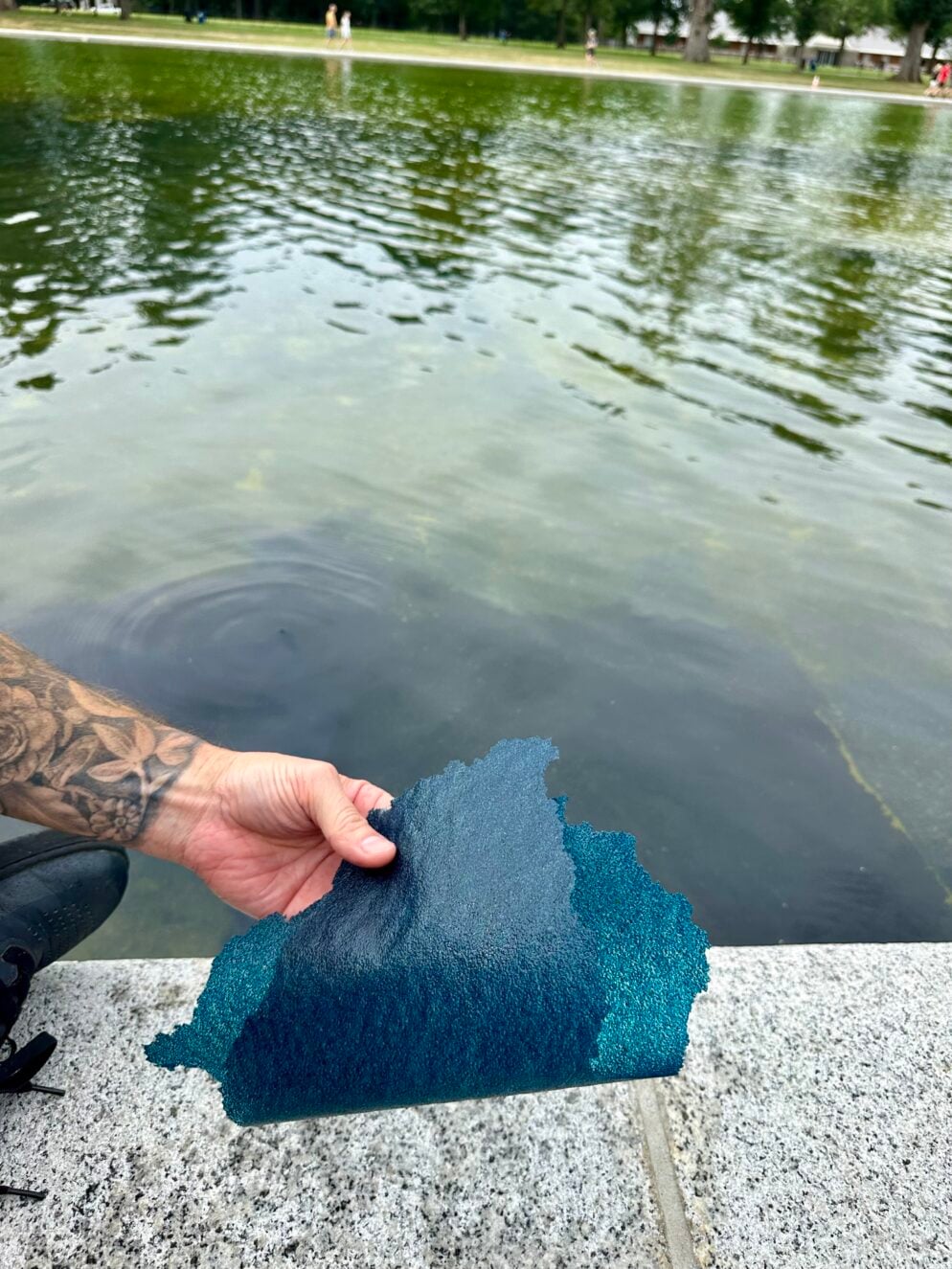 PHOTOS: Yes, the Blue Paint Is Peeling Off the Reflecting Pool ...